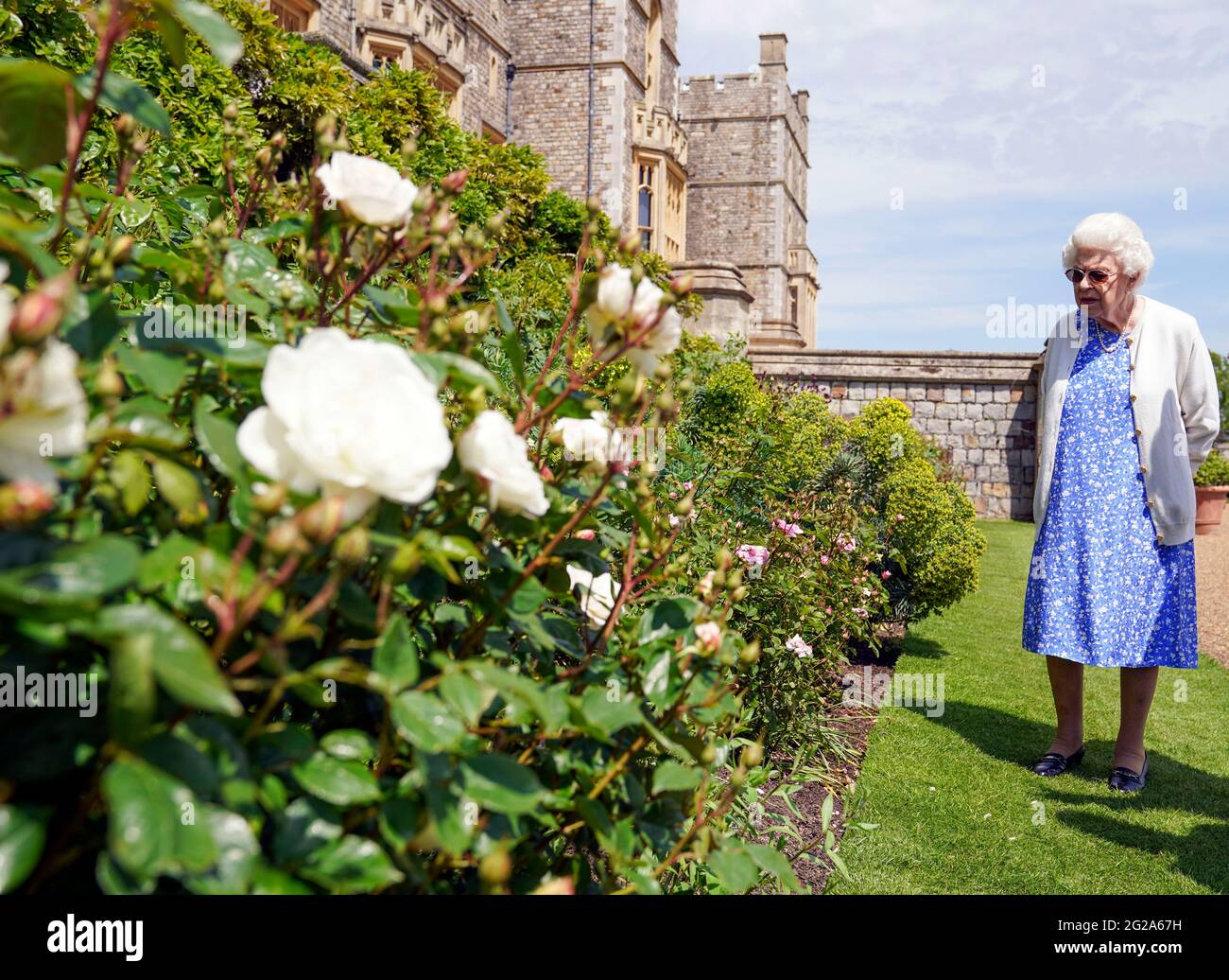 Windsor castle rose gardens hi-res stock photography and images - Alamy