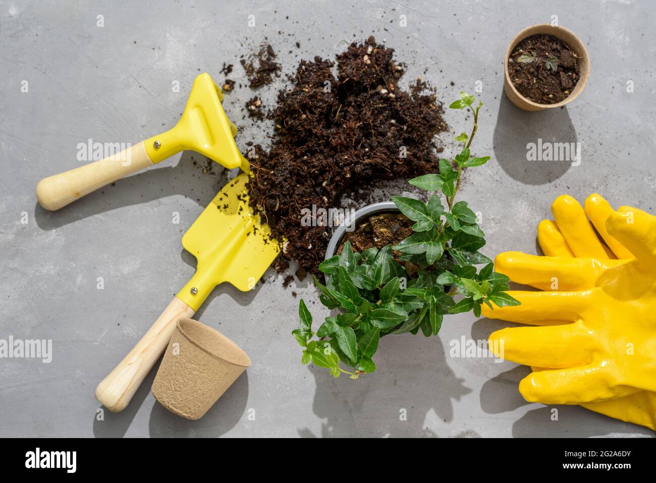 Home gardening set of tools. Soil, plant pots, gloves, shovel, rake ...