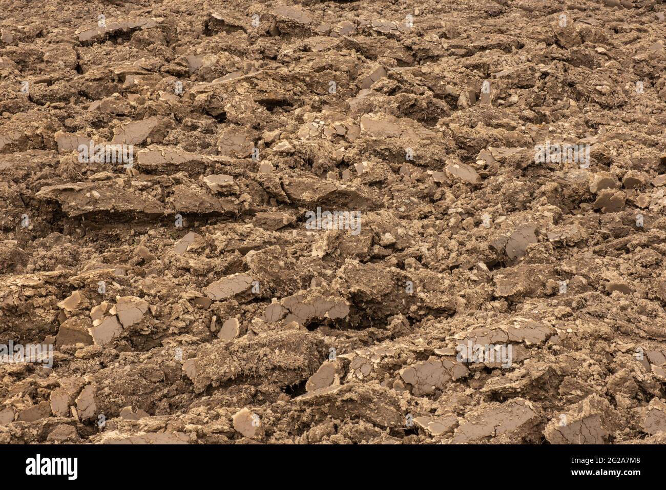 Abstract Background Texture Of A Tilled Or Plowed Field Ready For ...