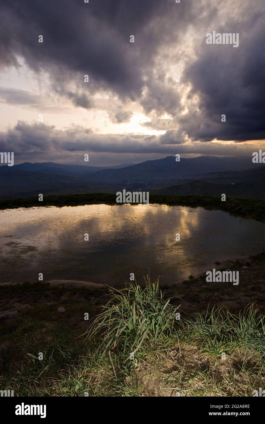 bush and mirror of water at sunset Stock Photo - Alamy