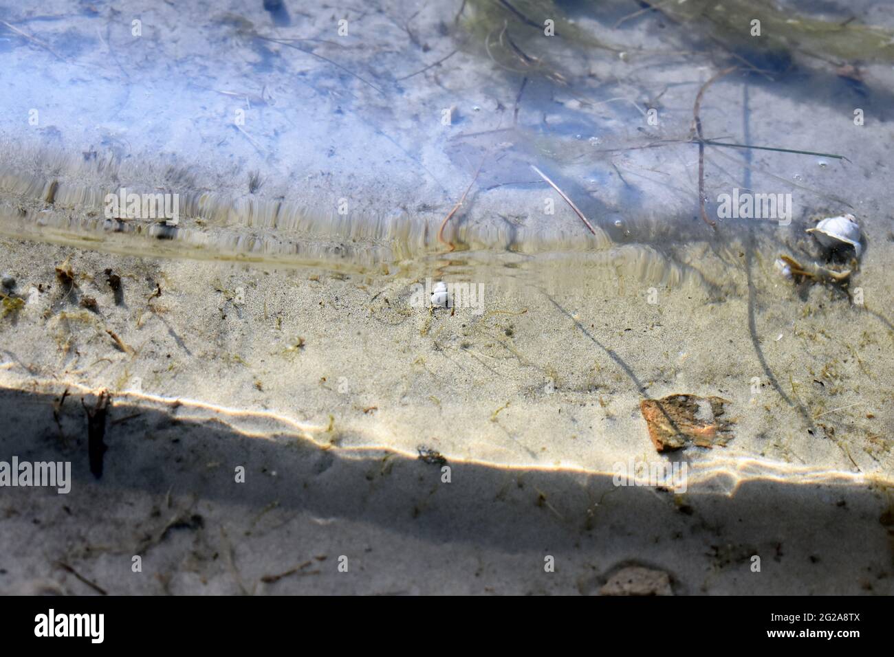Dirty sand on the lakeshore during the daytime Stock Photo - Alamy