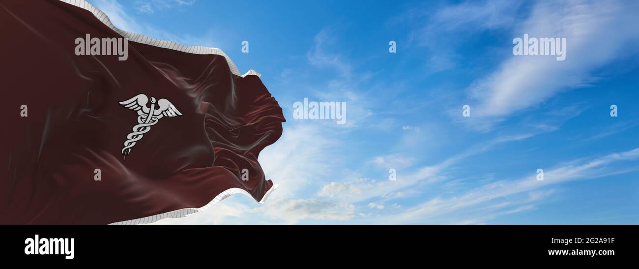 flag of Surgeon General of the United States Army with fringe waving in ...