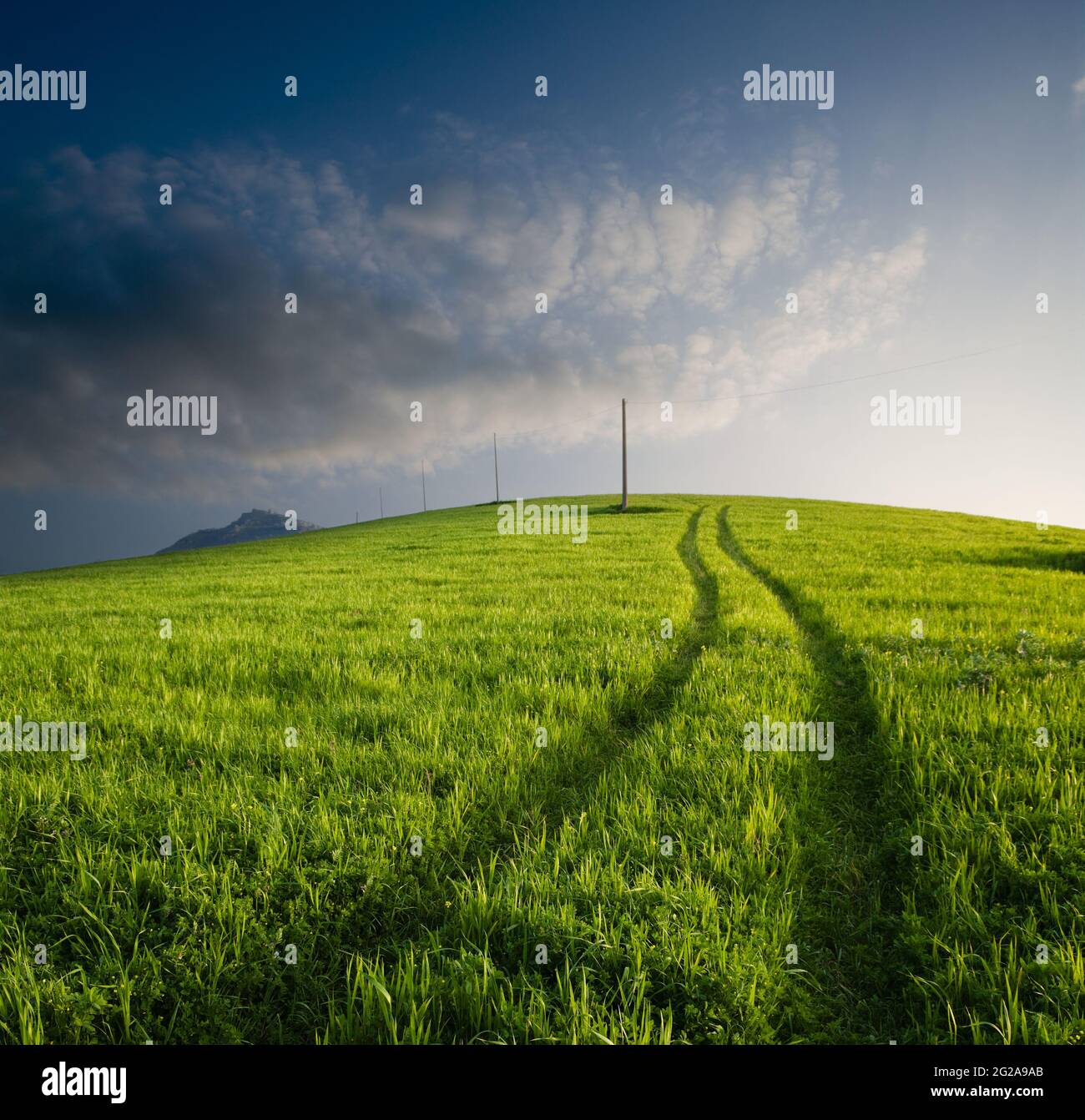 tractor track in a field grass at the sunset Stock Photo - Alamy