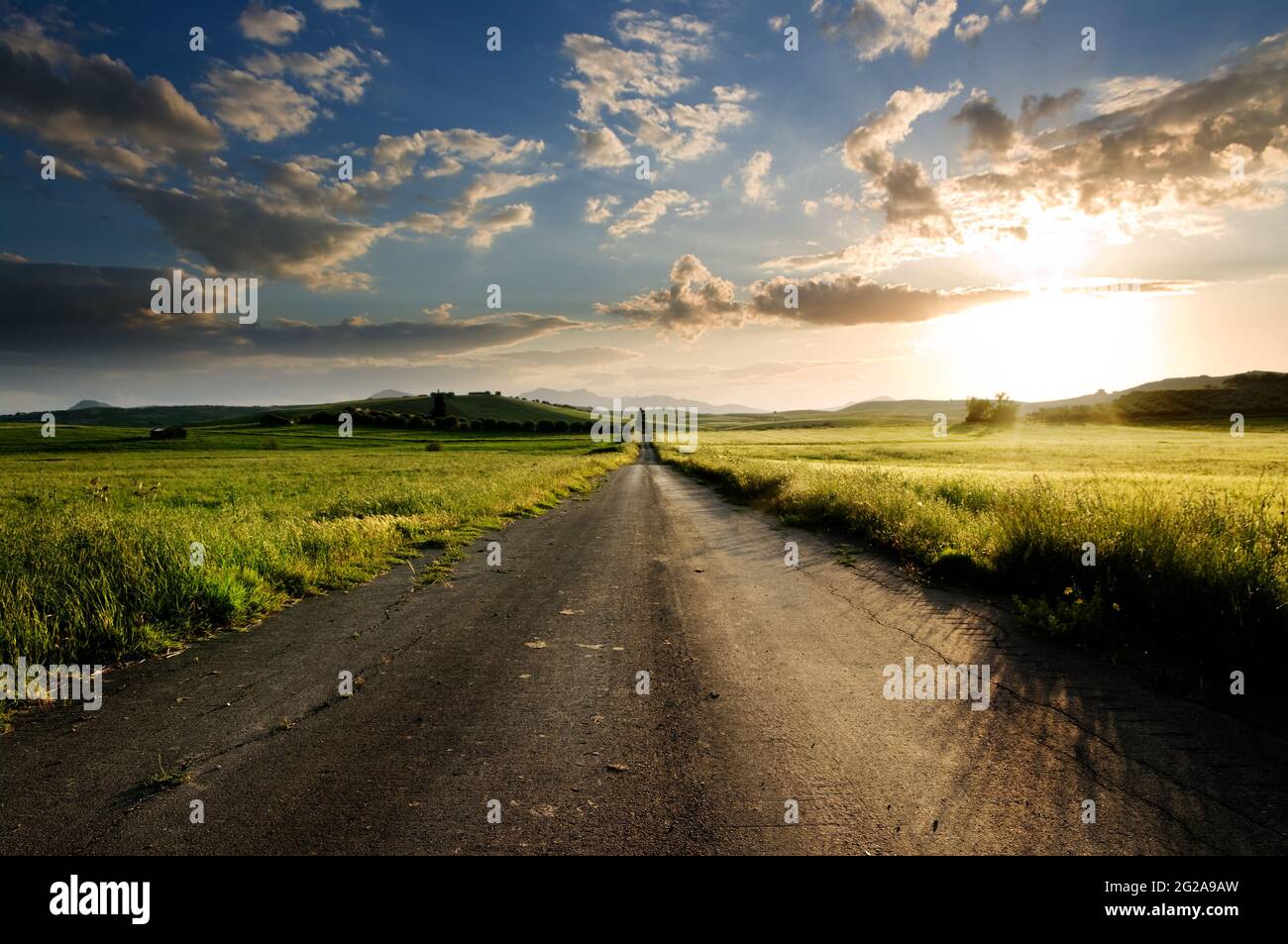 country road crosses green fields at the sunset Stock Photo - Alamy