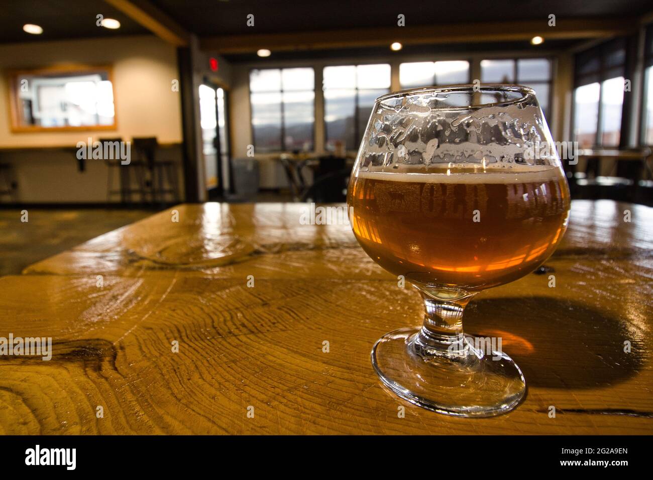 Old bull brewing hi-res stock photography and images - Alamy