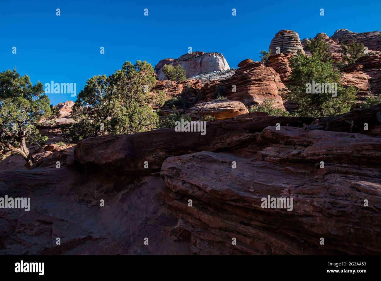 Trails in the park hi-res stock photography and images - Alamy