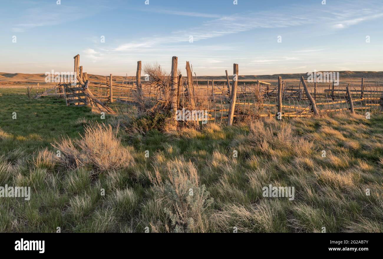 Old corral hi-res stock photography and images - Alamy