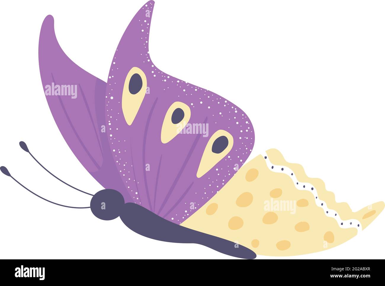 butterfly side view Stock Vector Image & Art - Alamy
