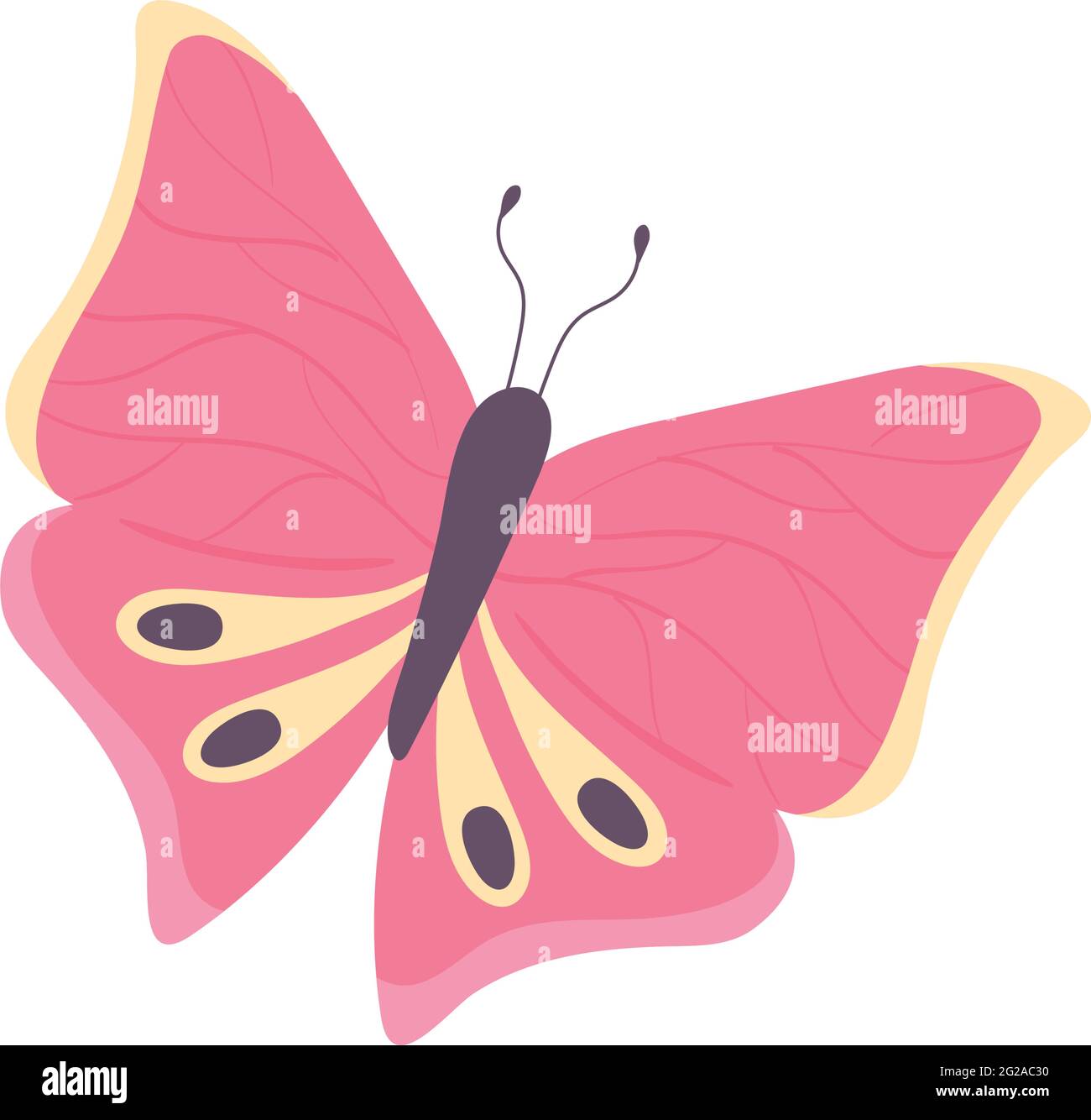 pink butterfly insect Stock Vector Image & Art - Alamy