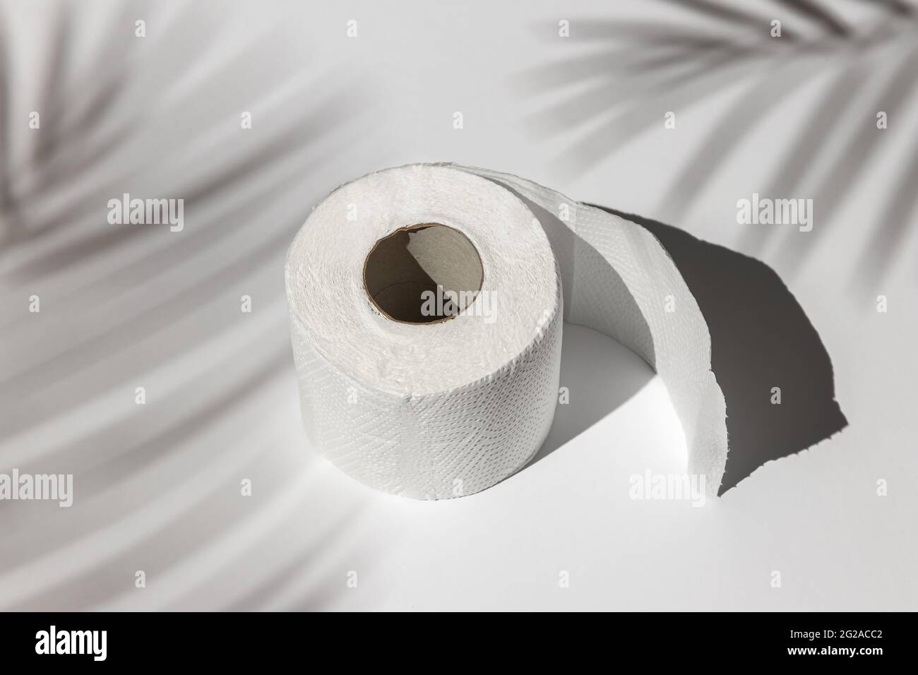 roll of a white toilet paper isolated on a gray background under a palm ...