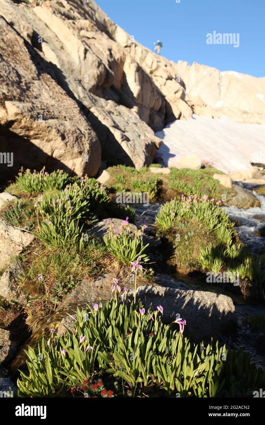 Mt whitney hike hi-res stock photography and images - Alamy