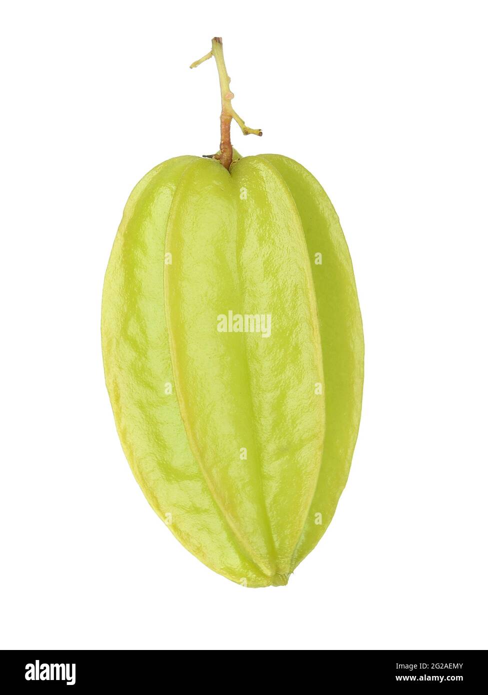 Clouse up of star apple isolated on white background Stock Photo - Alamy