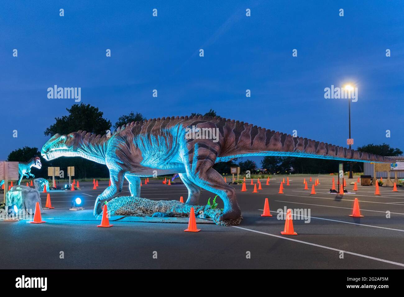 Dinosaur profile hi-res stock photography and images - Alamy