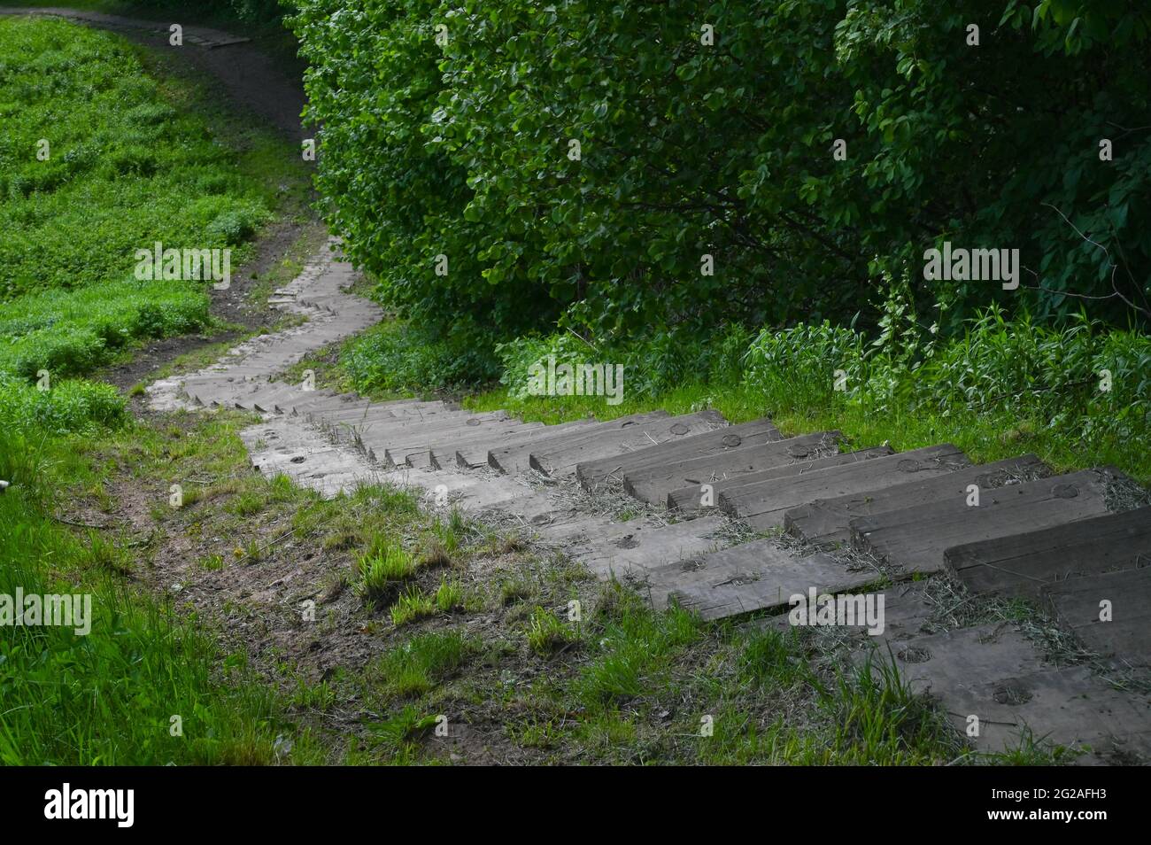 Winding garden path leading to hi-res stock photography and images - Alamy