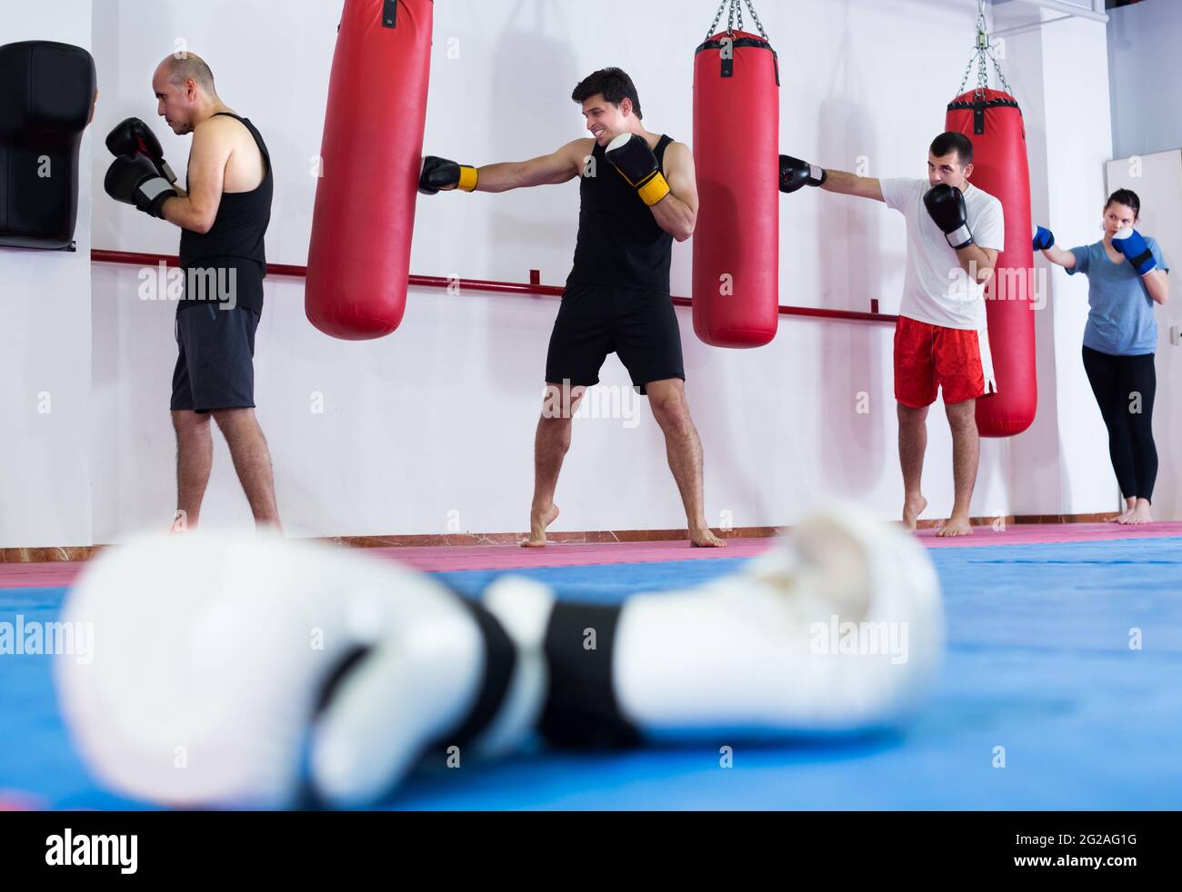 Group of boxing in gloves are beating boxing bags Stock Photo - Alamy
