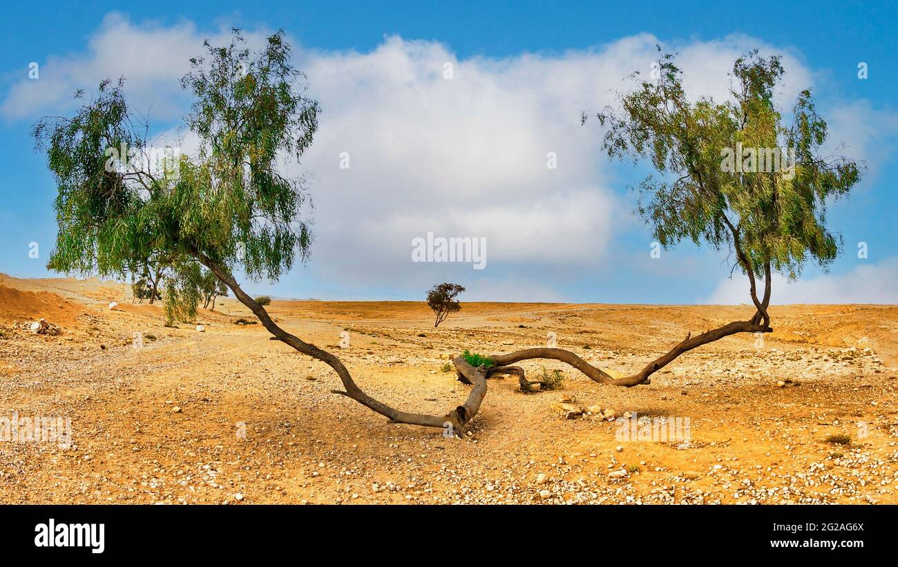 Desert Arava landscape, Israel Stock Photo - Alamy