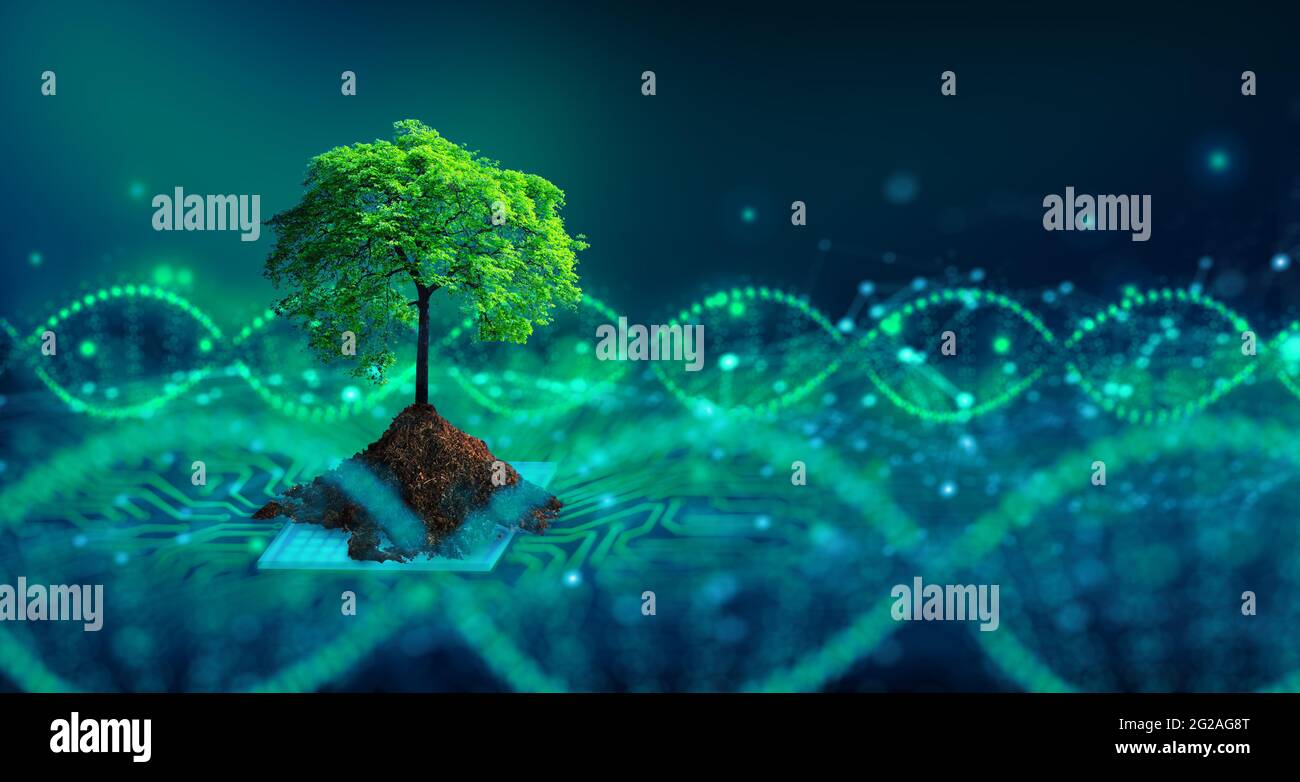 Tree with soil growing on the converging point of computer circuit ...