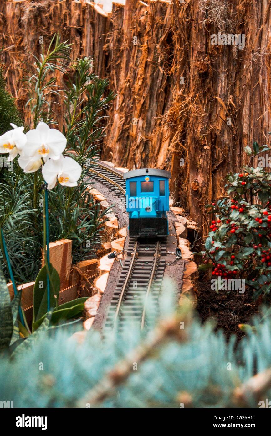 Blue model train in the seasonal train garden Stock Photo - Alamy