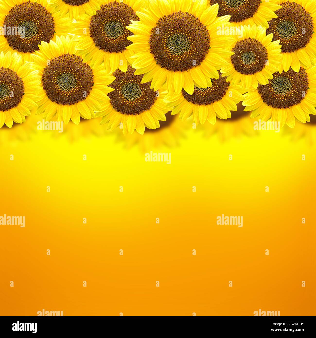 Sunshine warmth hi-res stock photography and images - Alamy