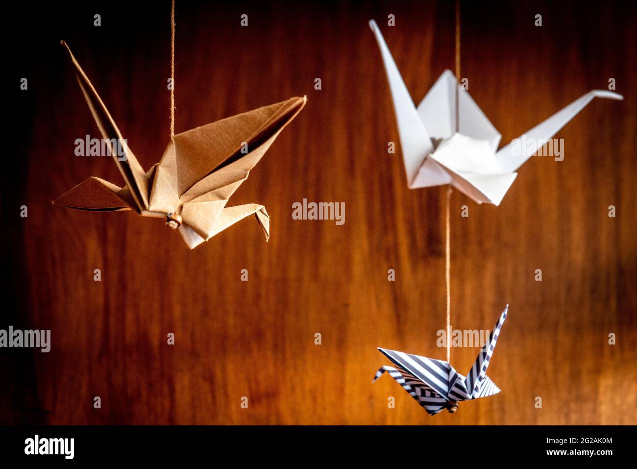 Three origami swans hanging from the roof with a wooden background ...