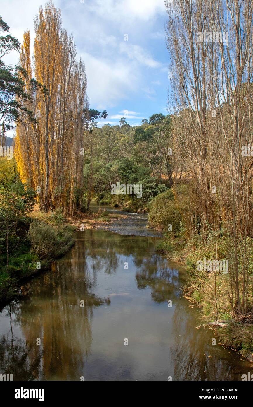 Cobungra river hi-res stock photography and images - Alamy