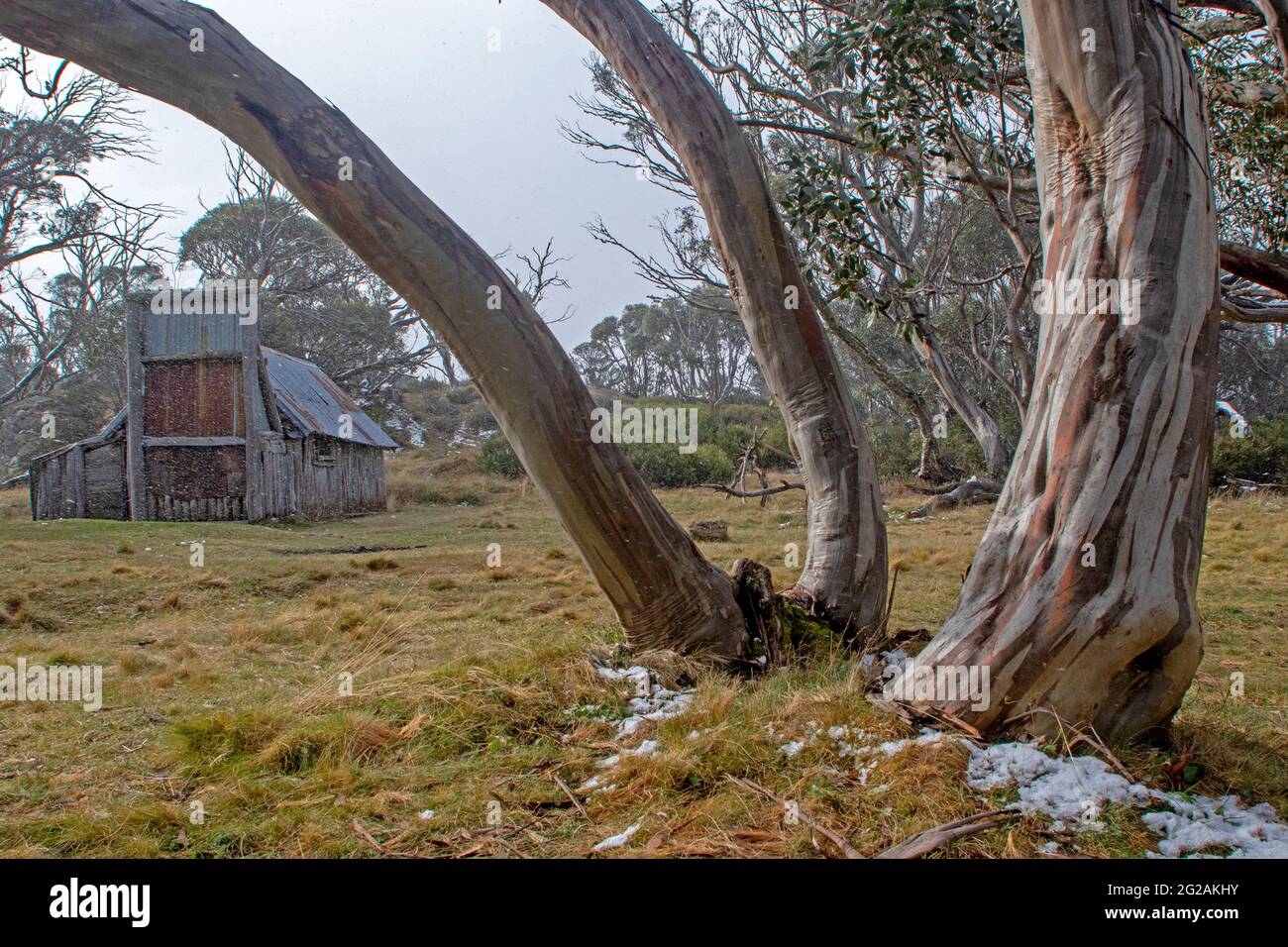 Alpine national park hi-res stock photography and images - Alamy