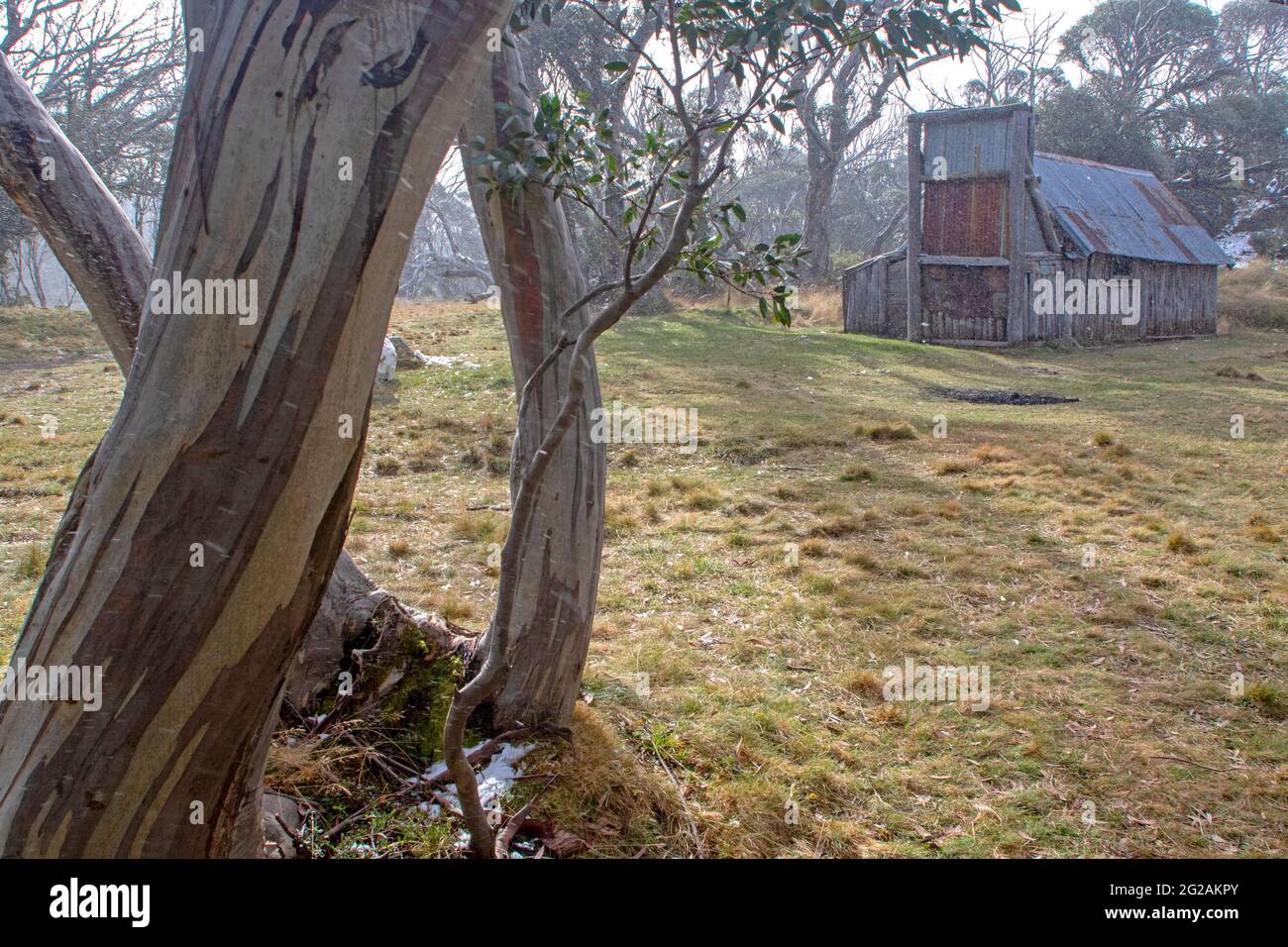 Wallace Hut, Alpine National Park Stock Photo - Alamy