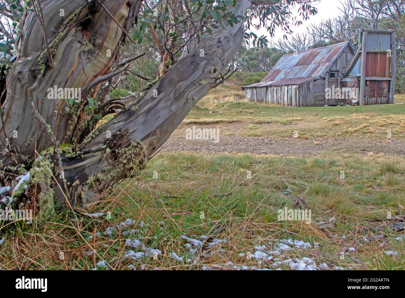 Wallace Hut, Alpine National Park Stock Photo - Alamy