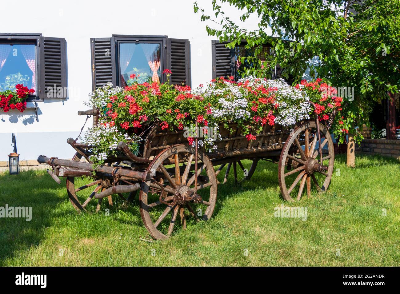 Ancient horse drawn carriage decorated hi-res stock photography and ...