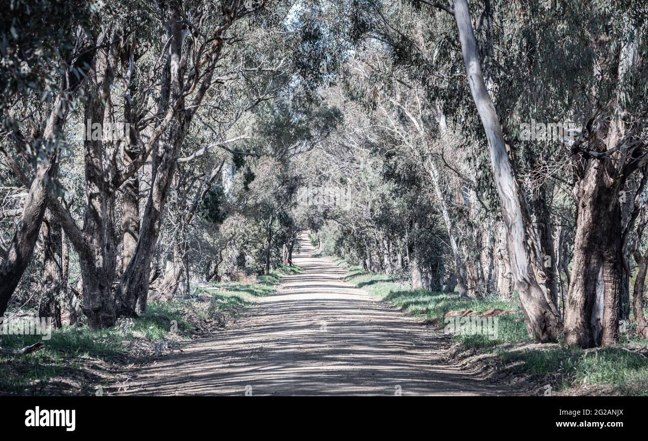 Typical rural Australian road Stock Photo - Alamy