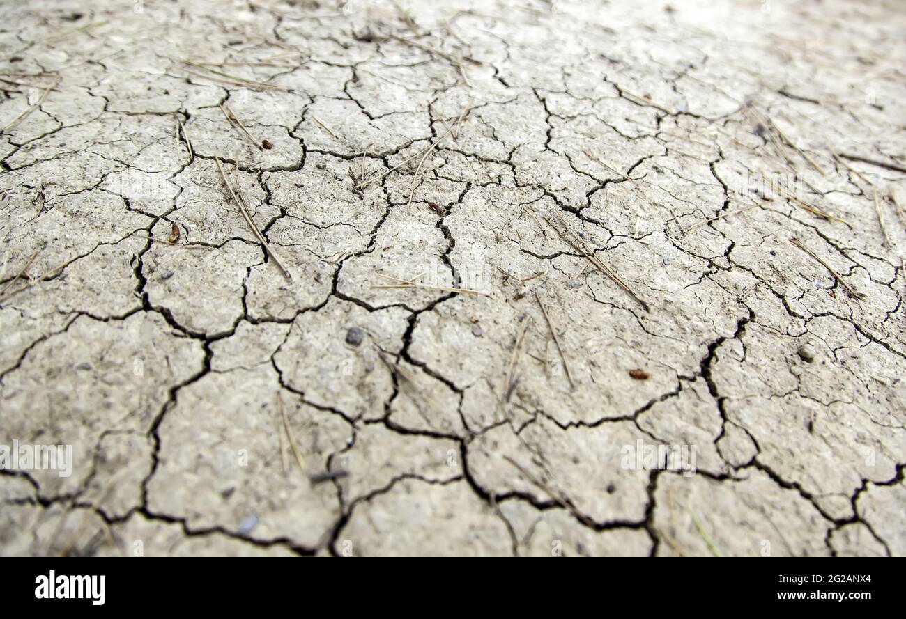 Cracked earth texture in field, nature and agriculture, arid ...