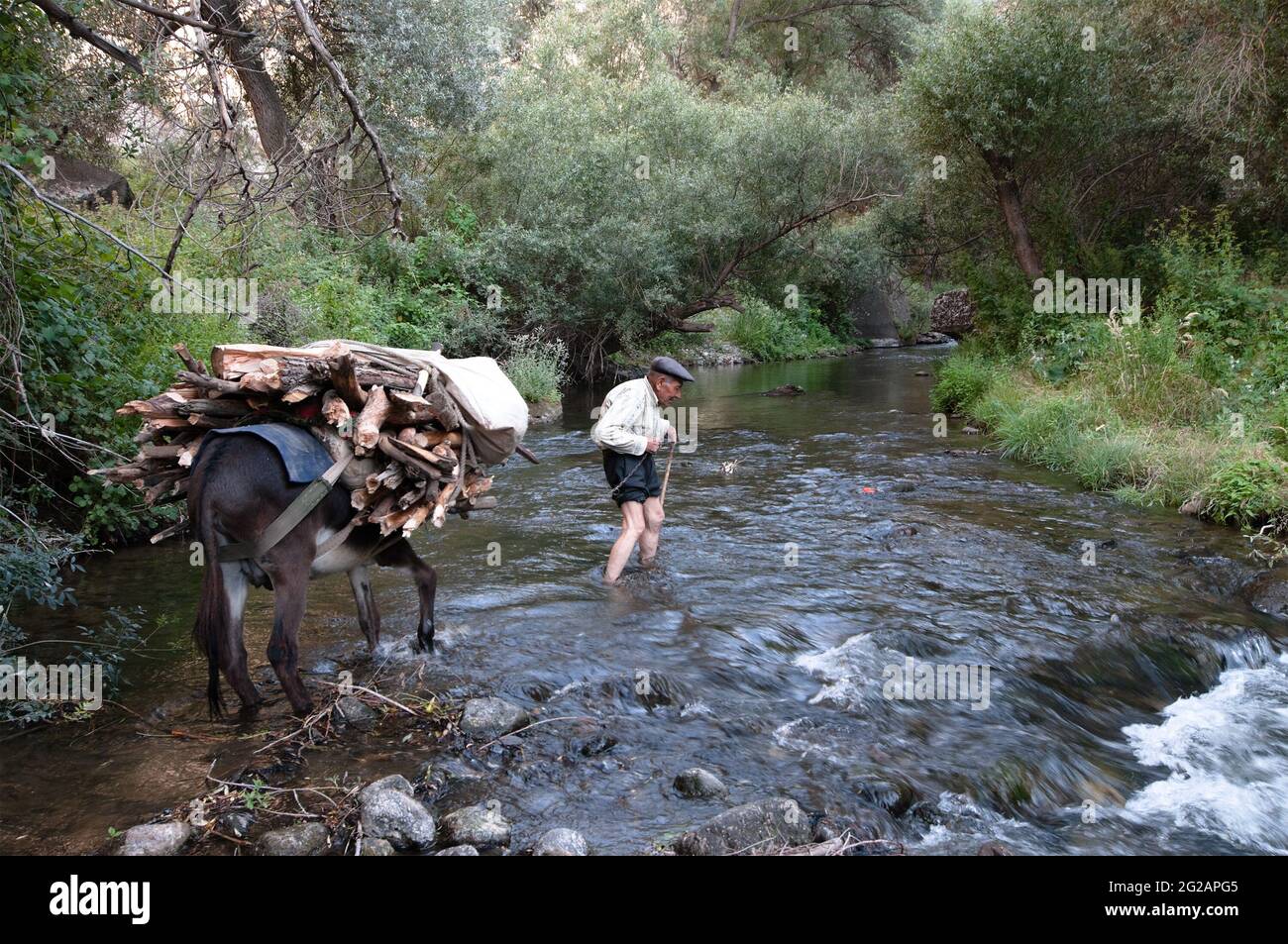 Man walking donkey hi-res stock photography and images - Alamy