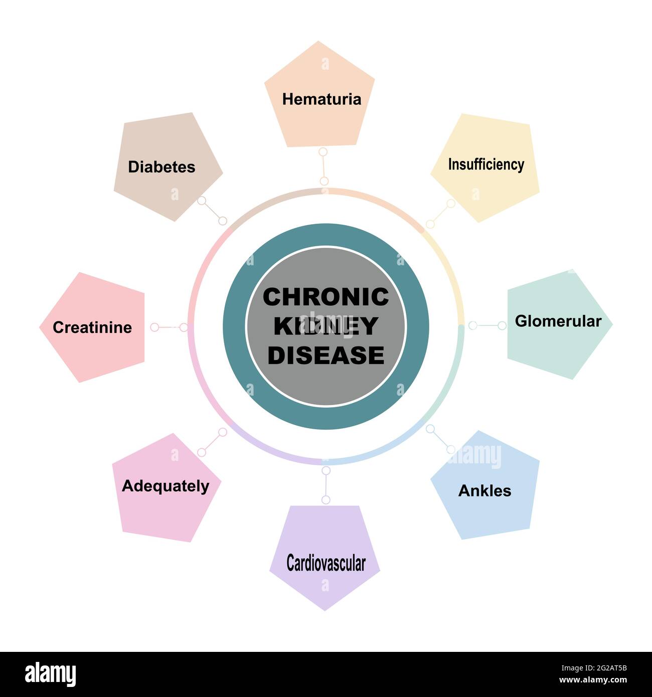 Creatinine Kidney Disease Chart