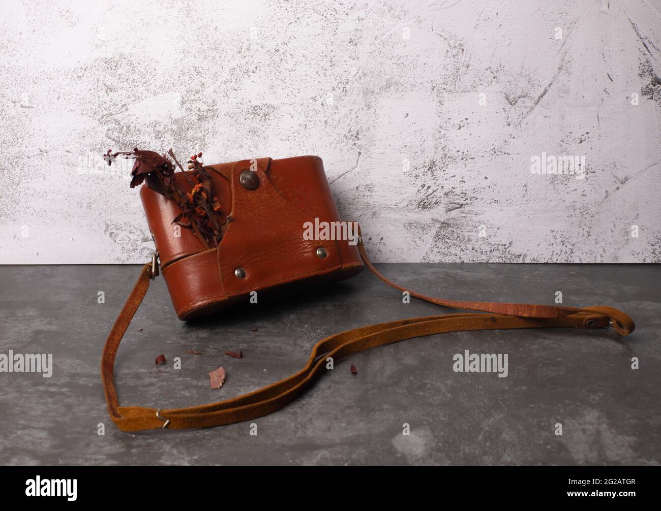 vintage postcard with a retro camera in a leather case Stock Photo - Alamy