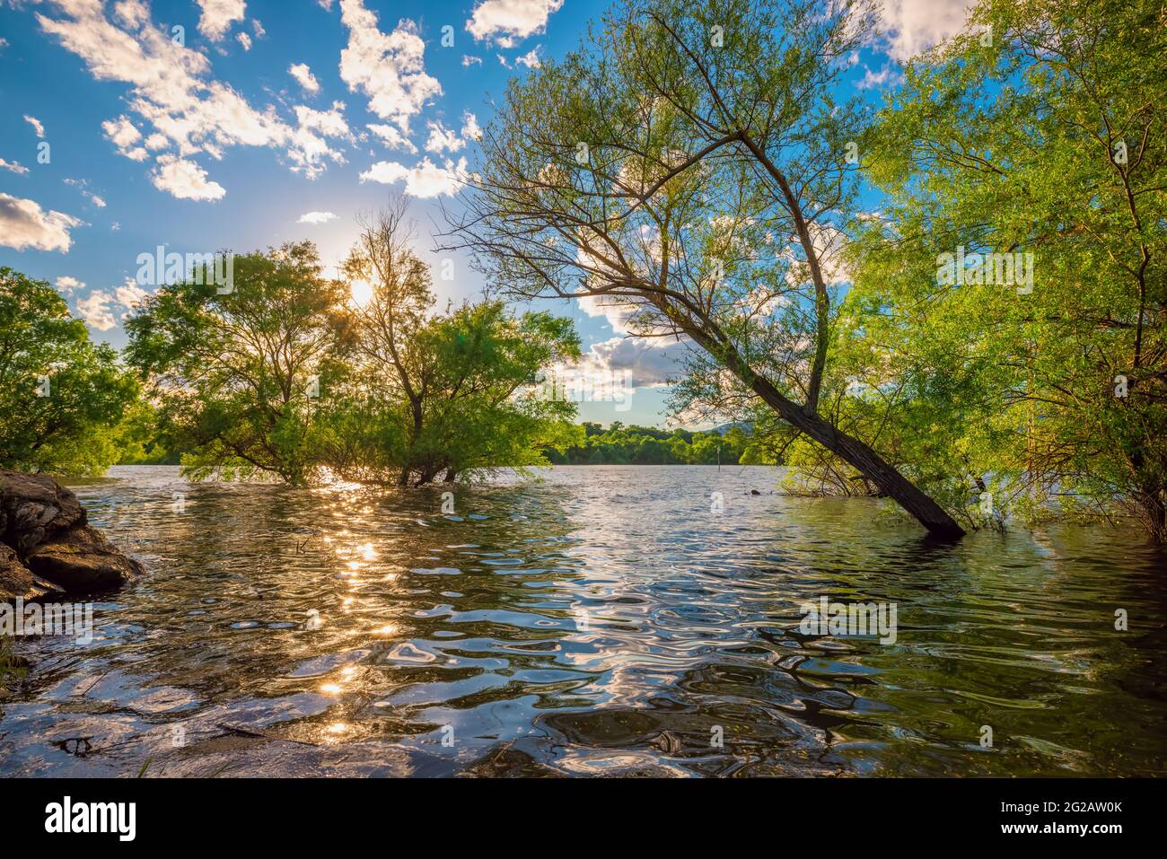 Beautiful landscape of lake and trees in water during sunset Stock ...