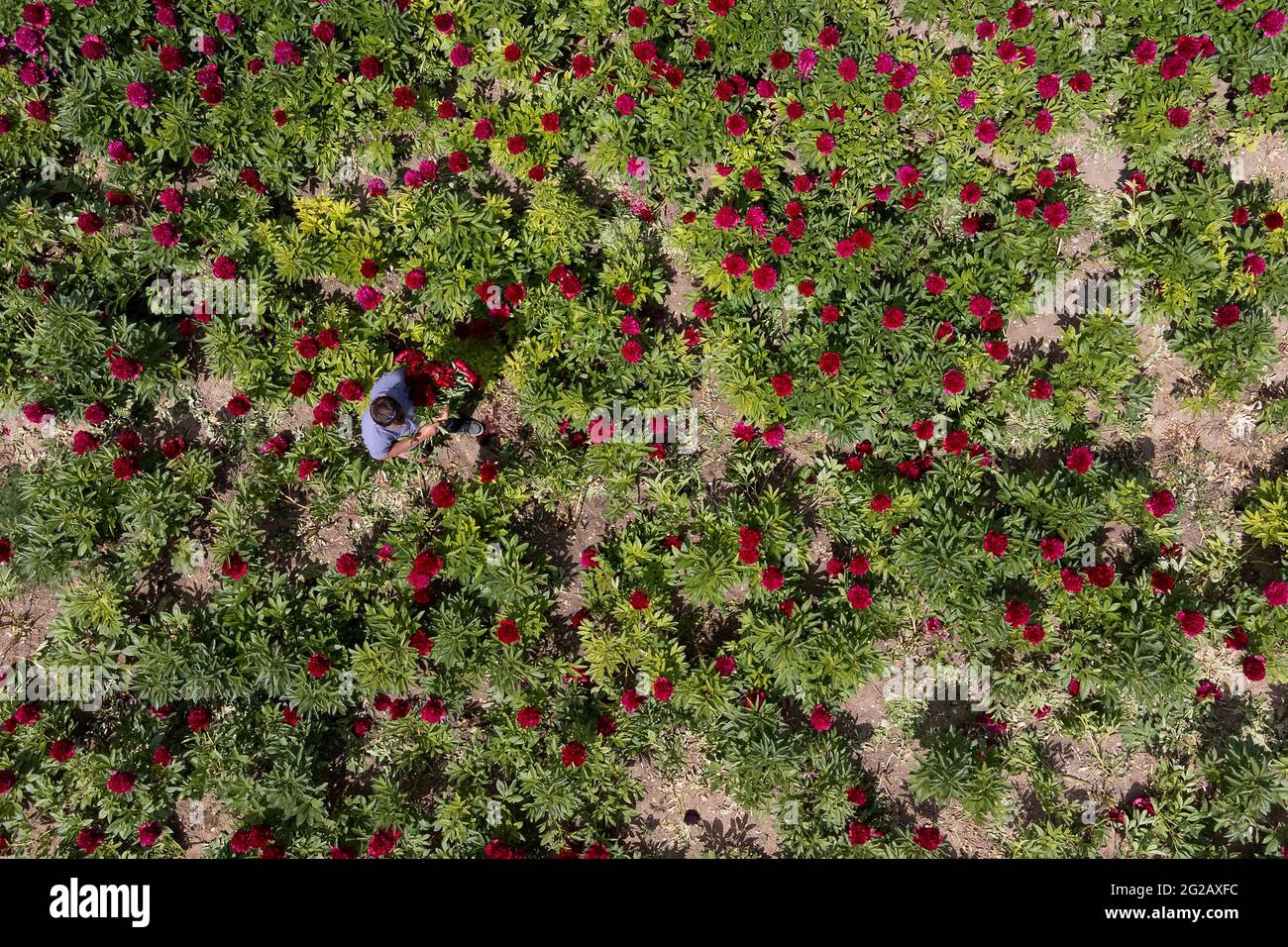 Bury lane farm hi-res stock photography and images - Alamy