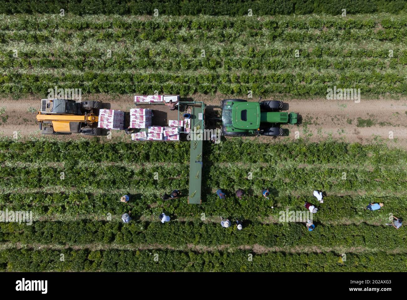 Bury lane farm hi-res stock photography and images - Alamy