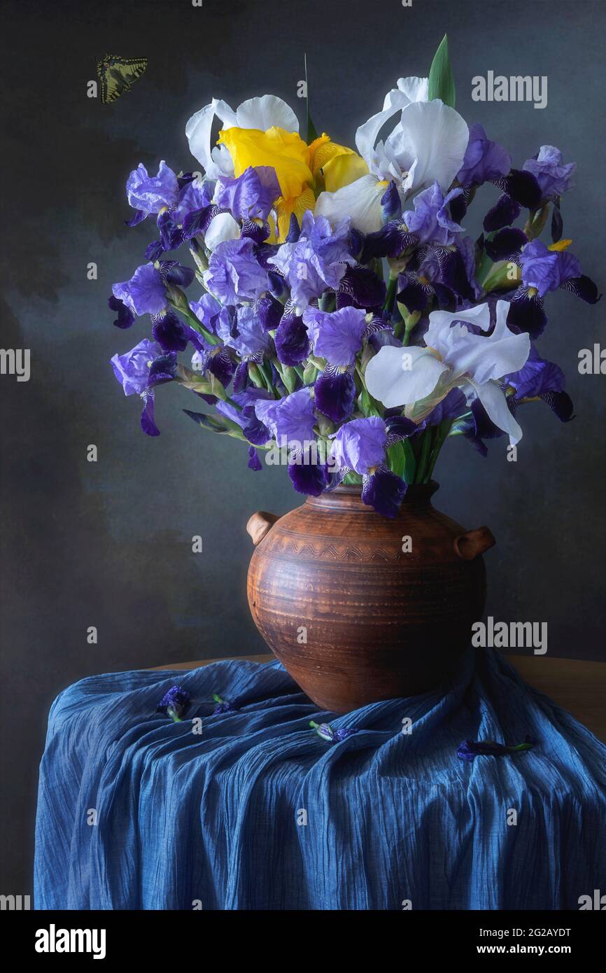 Still Life With Iris Logo Still Life Iris In Vase Hi Res Stock
