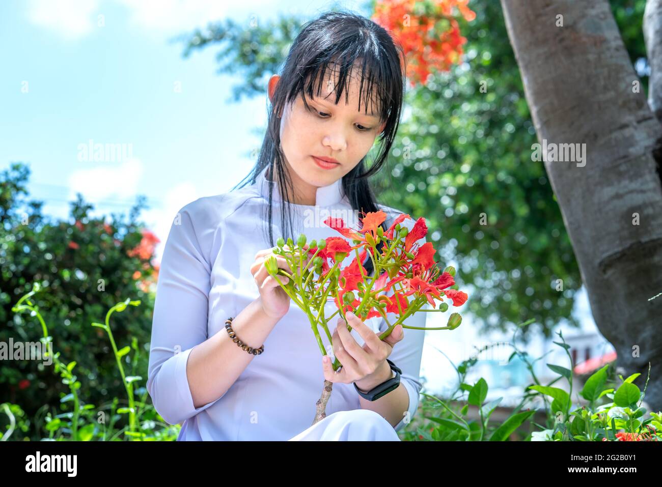 Schoolgirls in traditional long dress or Ao Dai uniform posing with ...