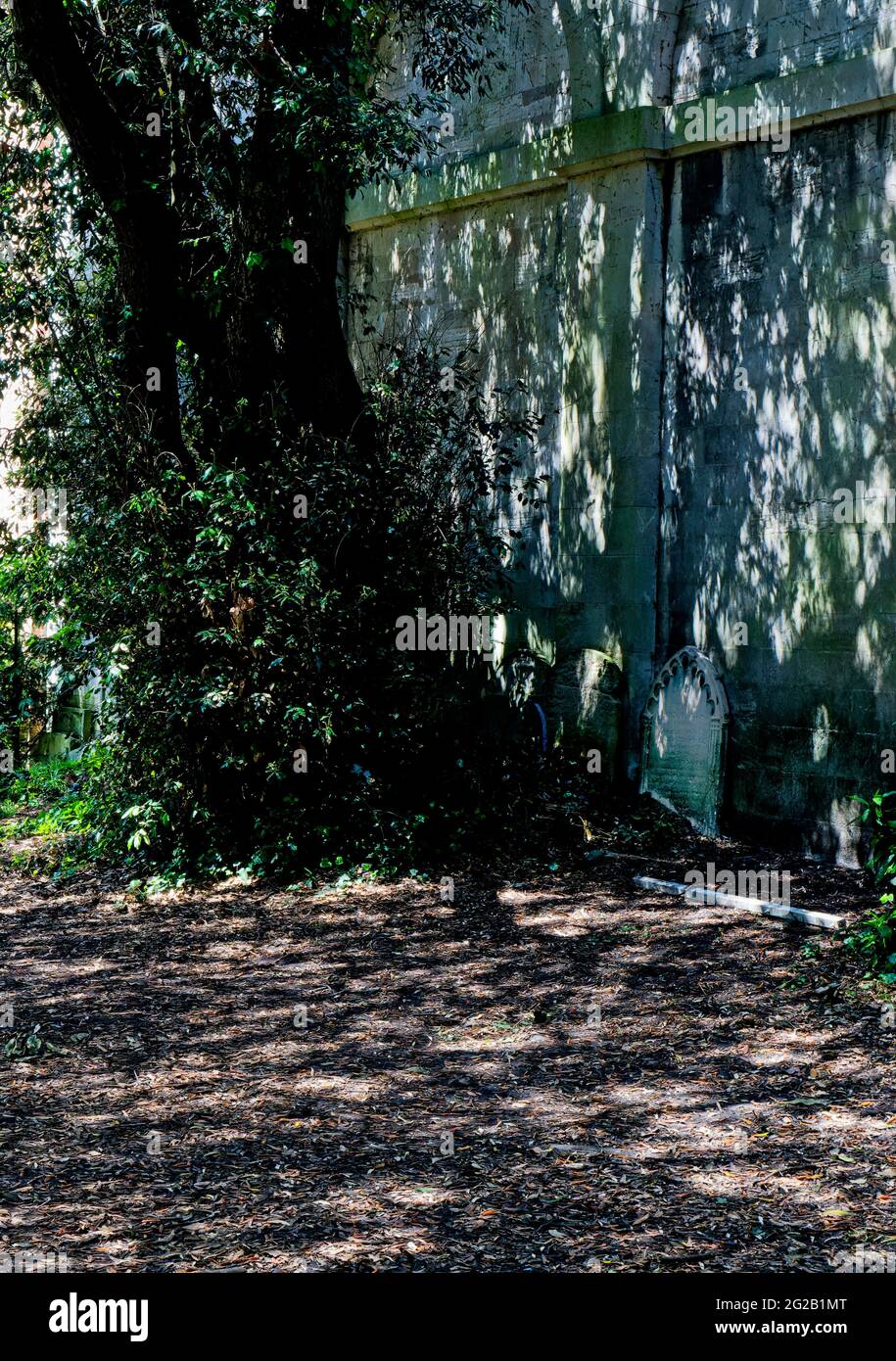 Propped up against tree hi-res stock photography and images - Alamy