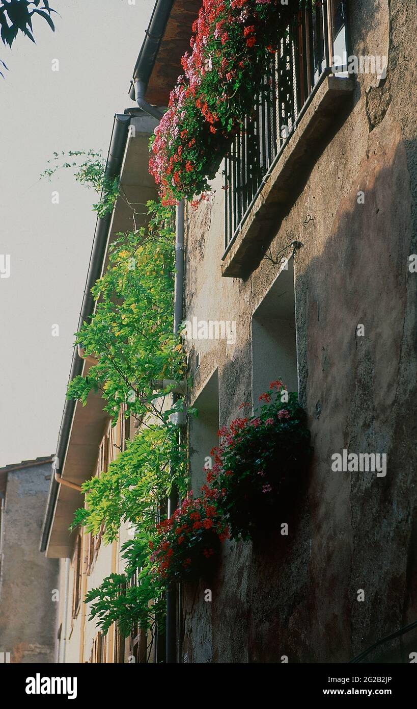 Balcones decorados con flores hi-res stock photography and images - Alamy