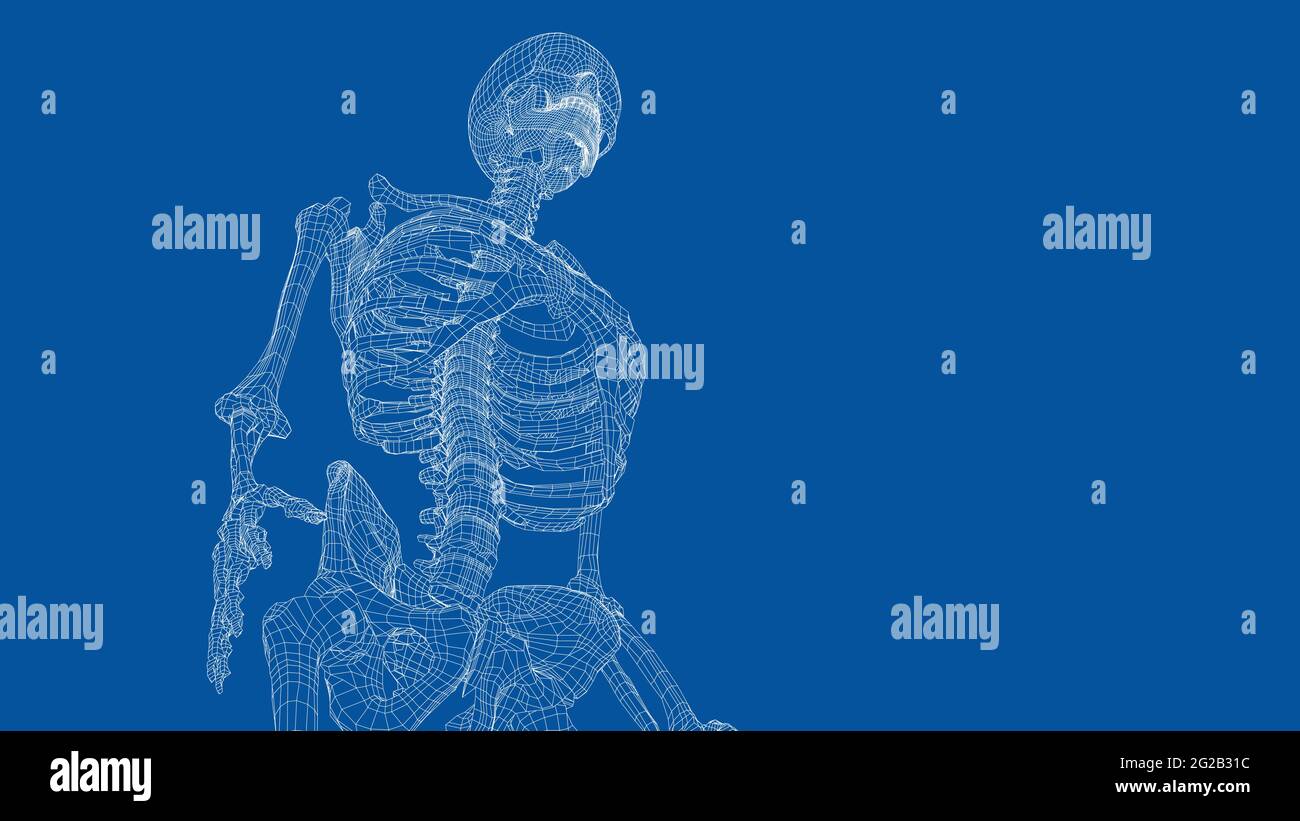 Human skeleton. Vector Stock Vector Image & Art - Alamy