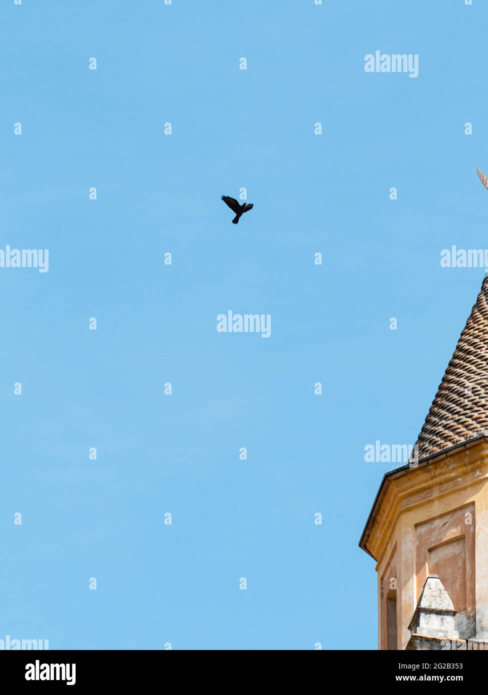 Vertical shot of a bird flying over an old building in a blue sky Stock ...
