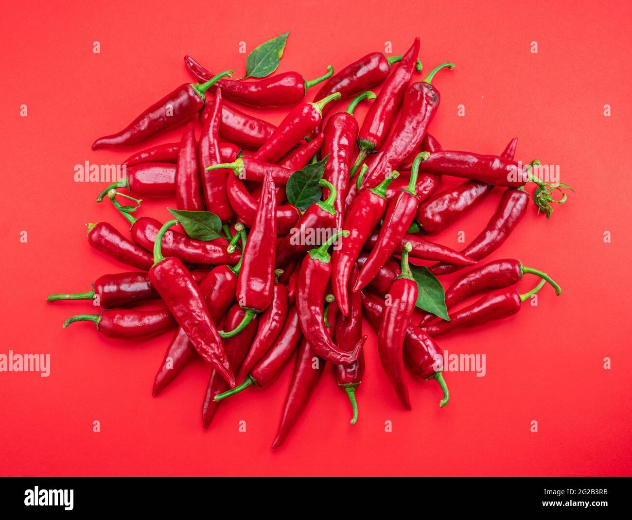Fresh red chilli peppers grouped in a heap isolated on red background ...