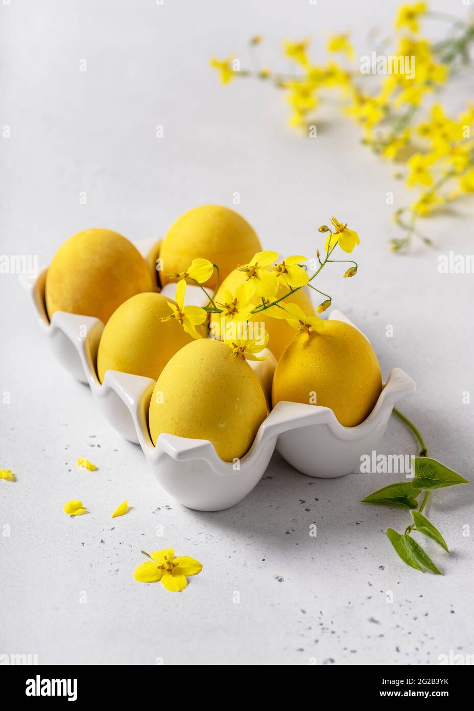 Easter eggs painted with turmeric for Eastern decorated with yellow ...