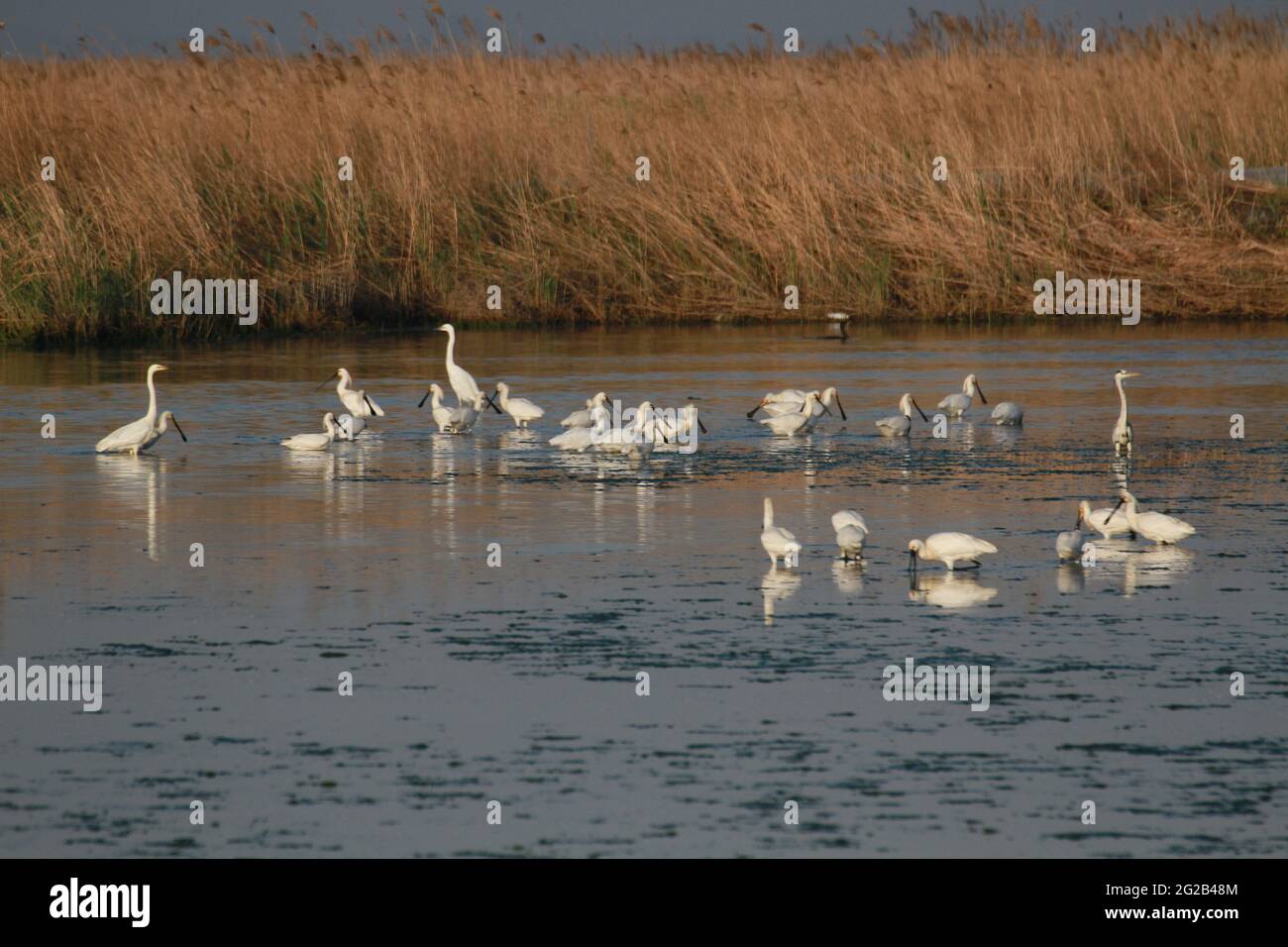 City of daqing hi-res stock photography and images - Alamy