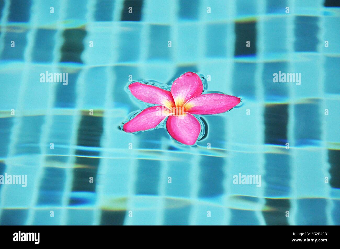 Flower tile design hi-res stock photography and images - Alamy