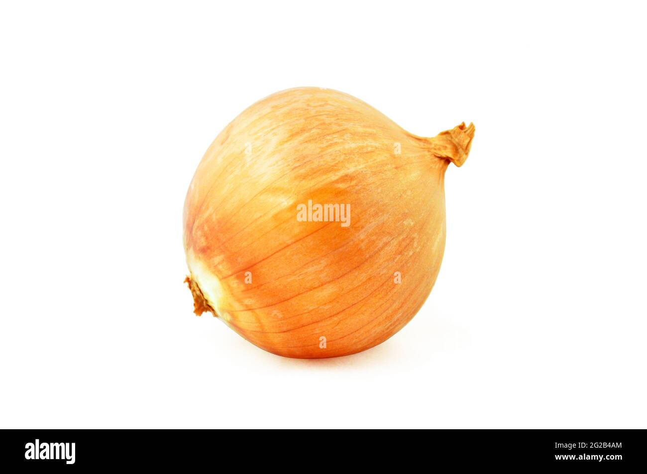 Image onion Cut Out Stock Images & Pictures - Alamy