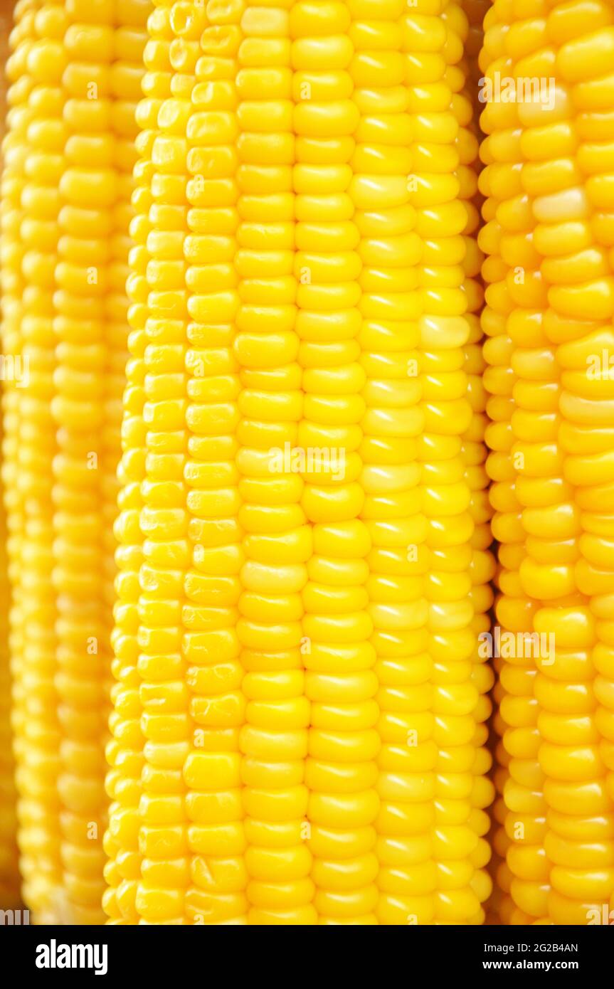 Steamed sweet corn hi-res stock photography and images - Alamy