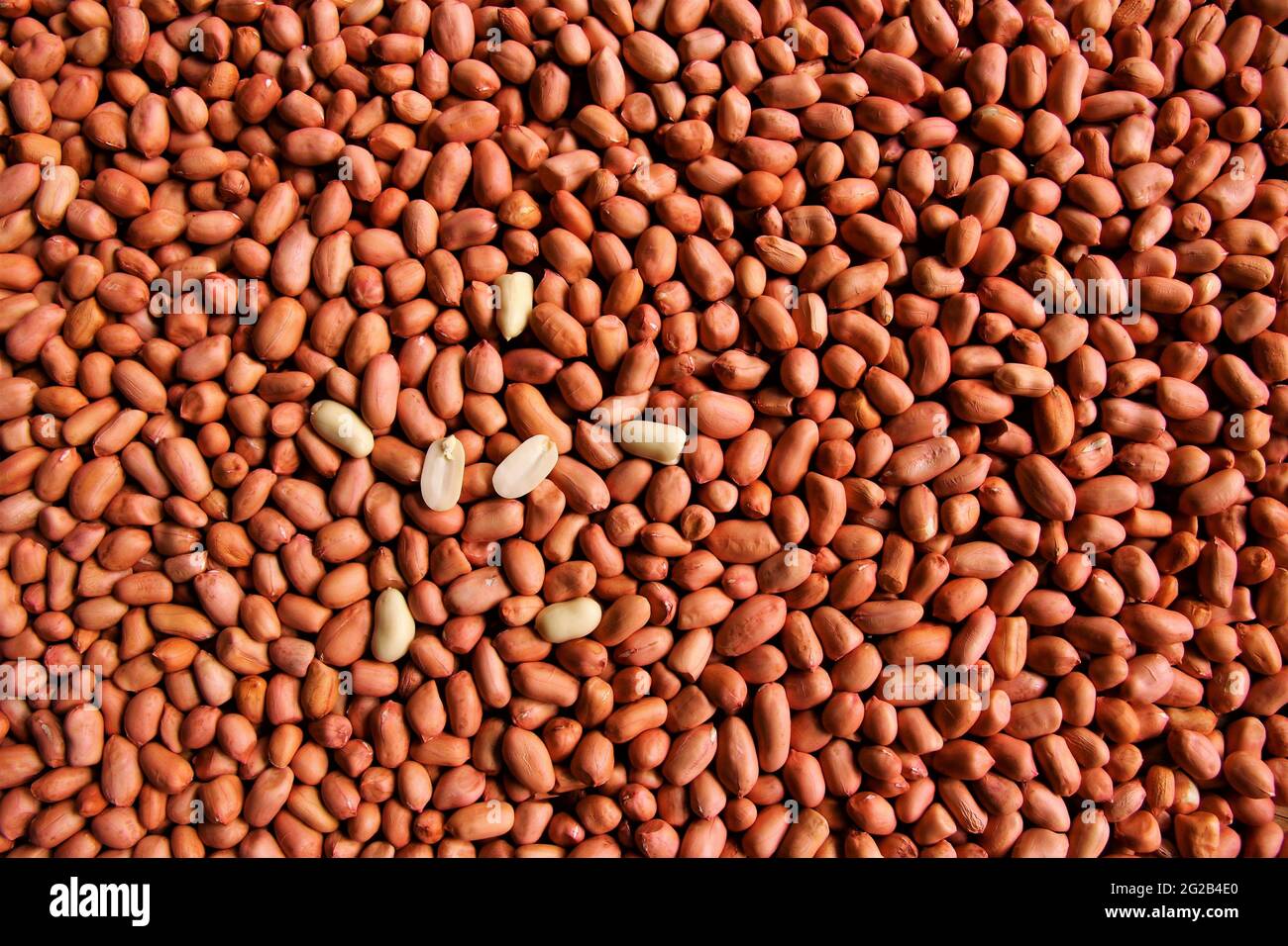 Peanuts seed texture background top view. stock photo Stock Photo - Alamy